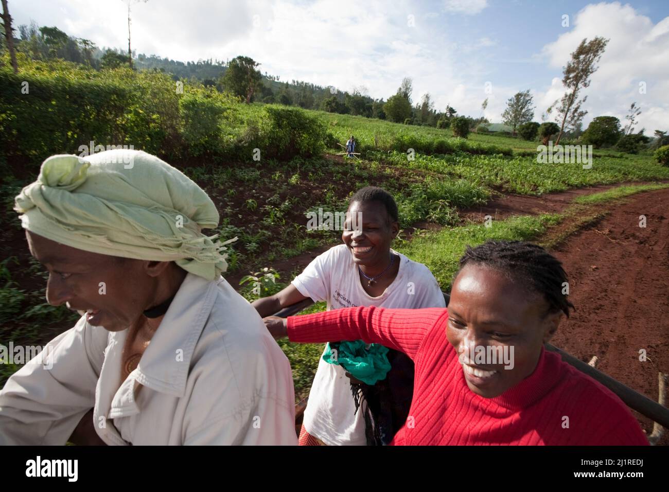 A member of IPI bead-making group carrying home firewood. She is ...