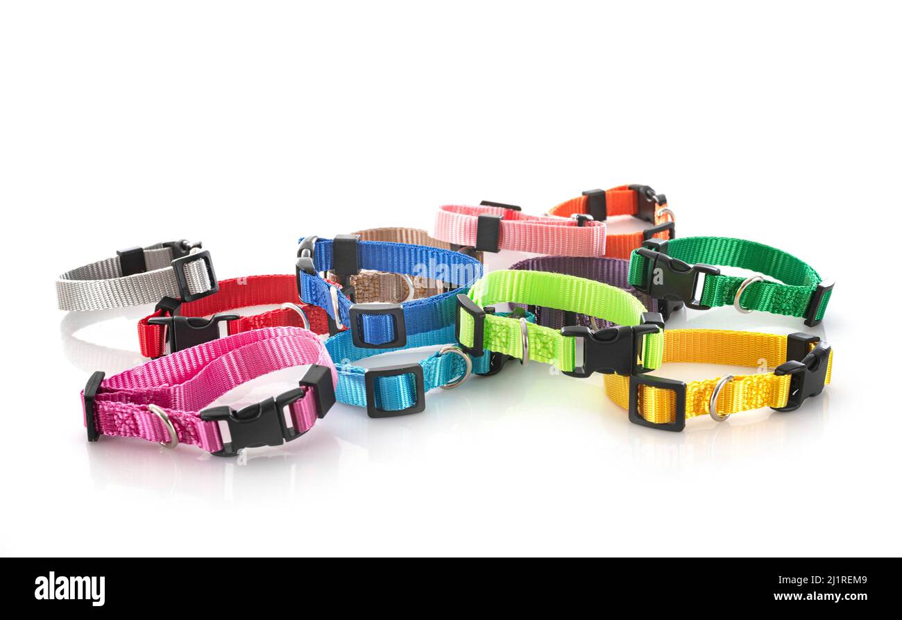 colorful collars in front of white background Stock Photo - Alamy