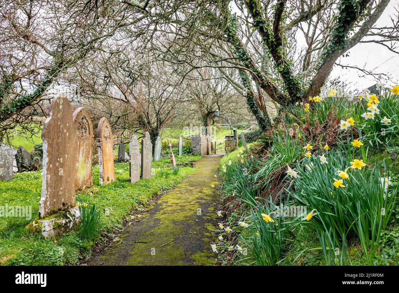 Churchyard at the Parish Church of Saint Genesius at St Gennys ...