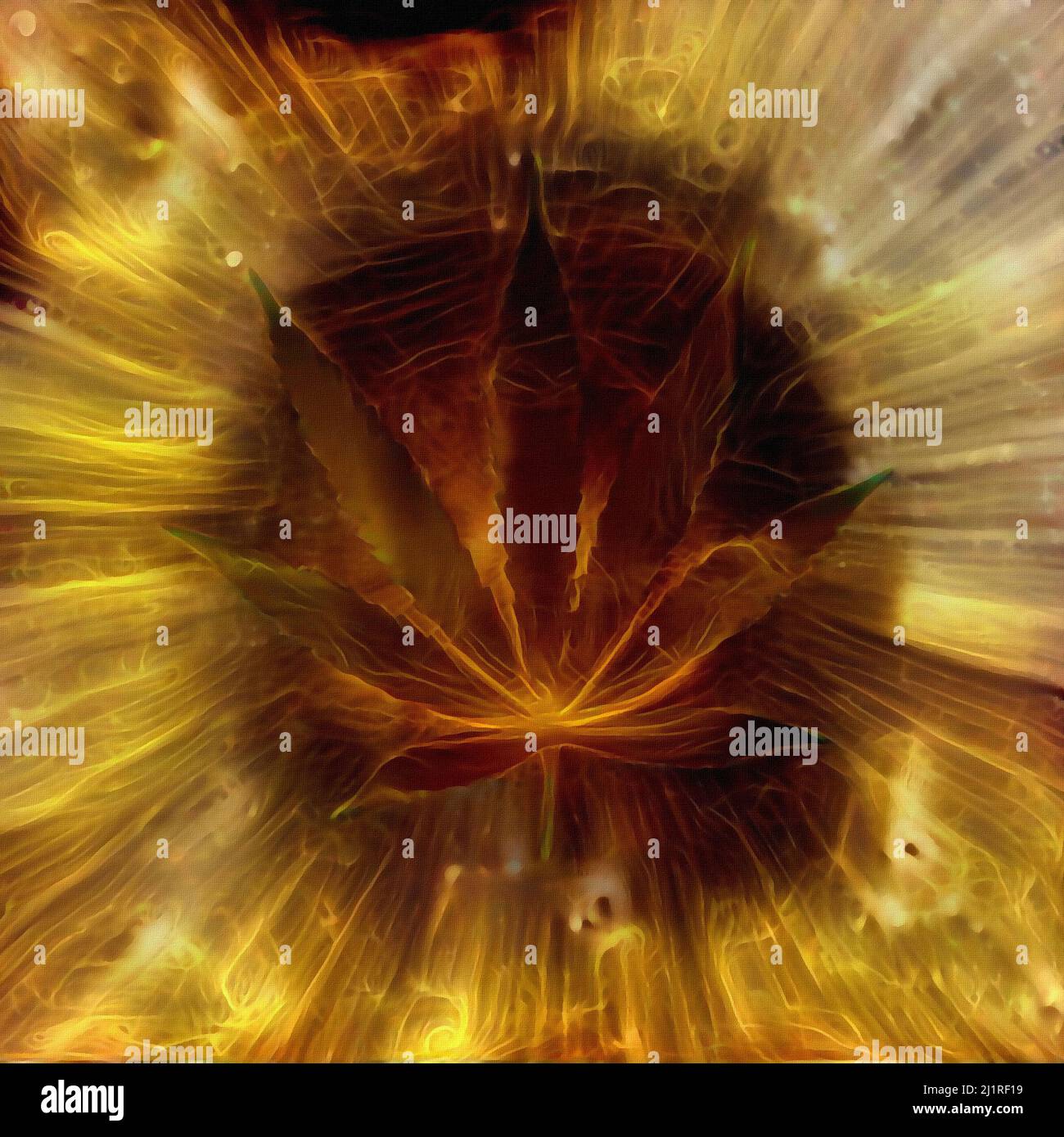 Marijuana leaf abstract painting. 3D rendering Stock Photo - Alamy