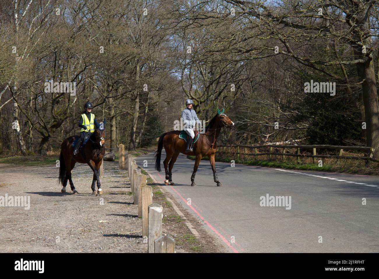 Essex horses hi-res stock photography and images - Alamy