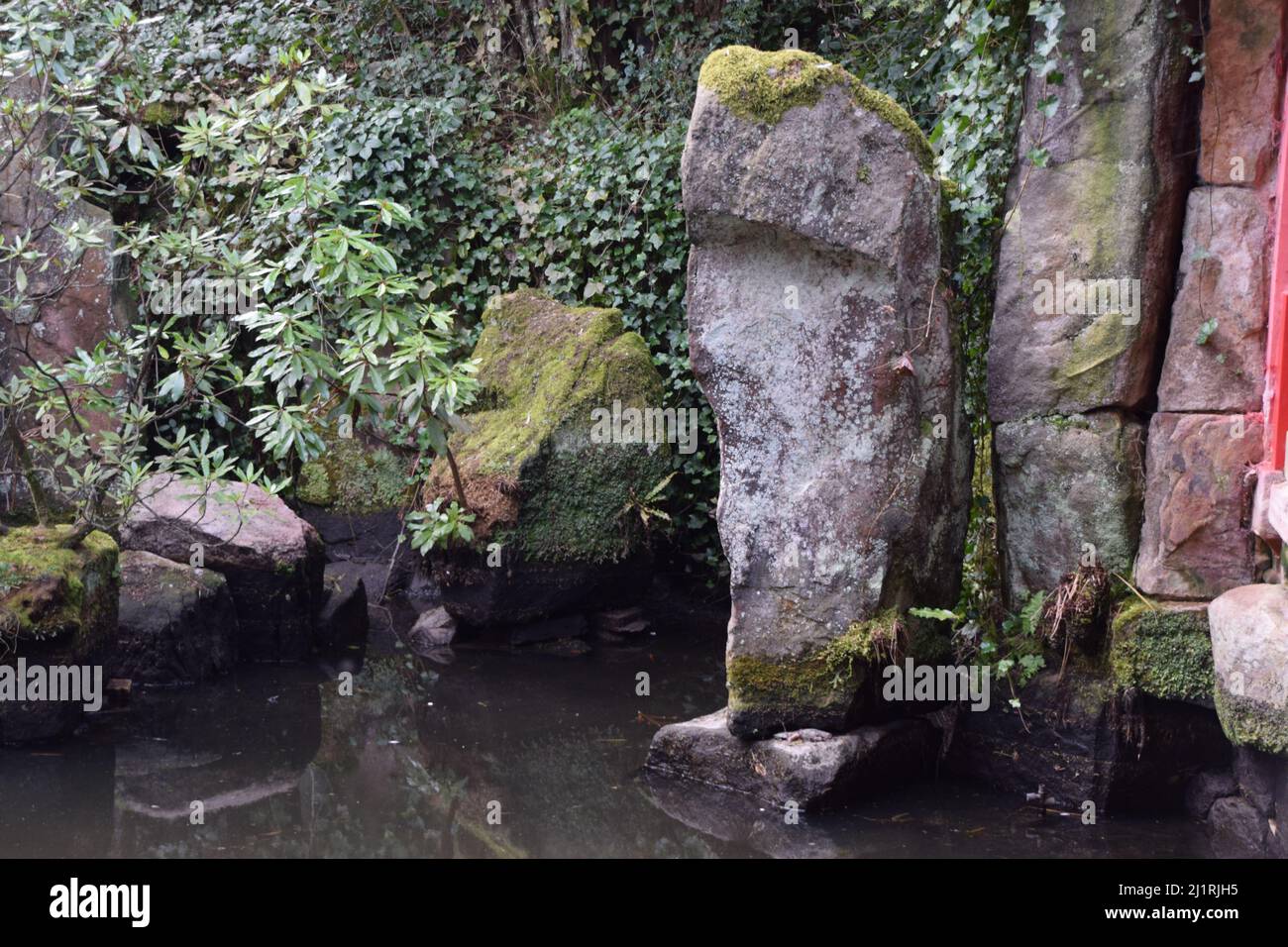 Live Life in Nature Stock Photo - Alamy