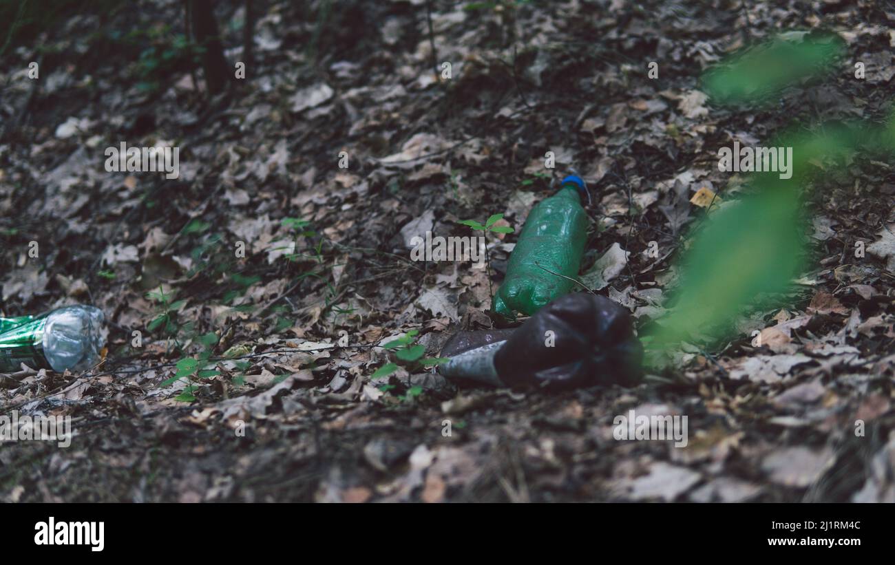 The concept of environmental pollution, environmental problems of ...