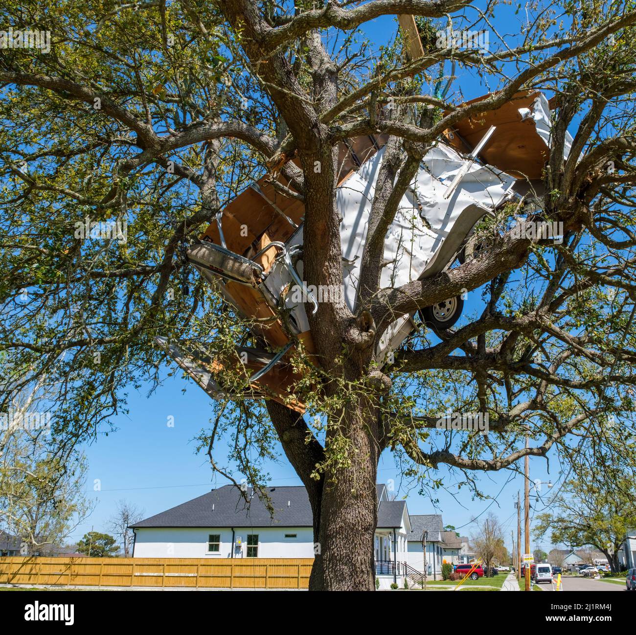 ARABI, LA, USA - MARCH 26, 2022: Trailer stuck in a tree after being ...