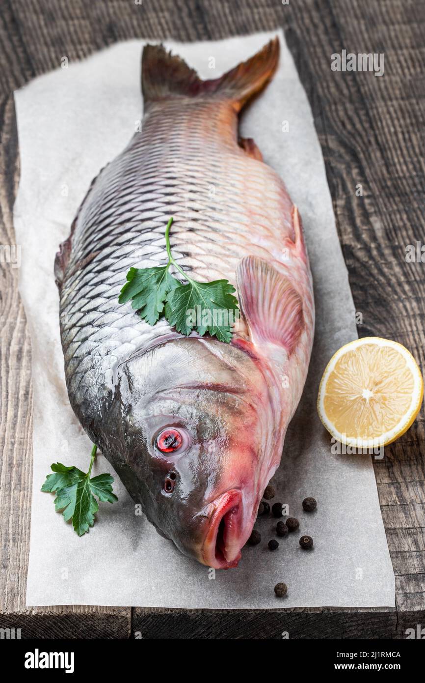 Freshwater common carp fish hi-res stock photography and images - Alamy