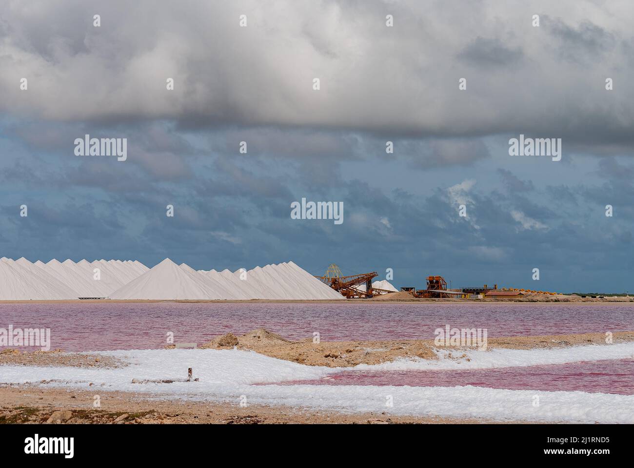 Sea salt harvesting on Bonaire island with pink water Stock Photo - Alamy