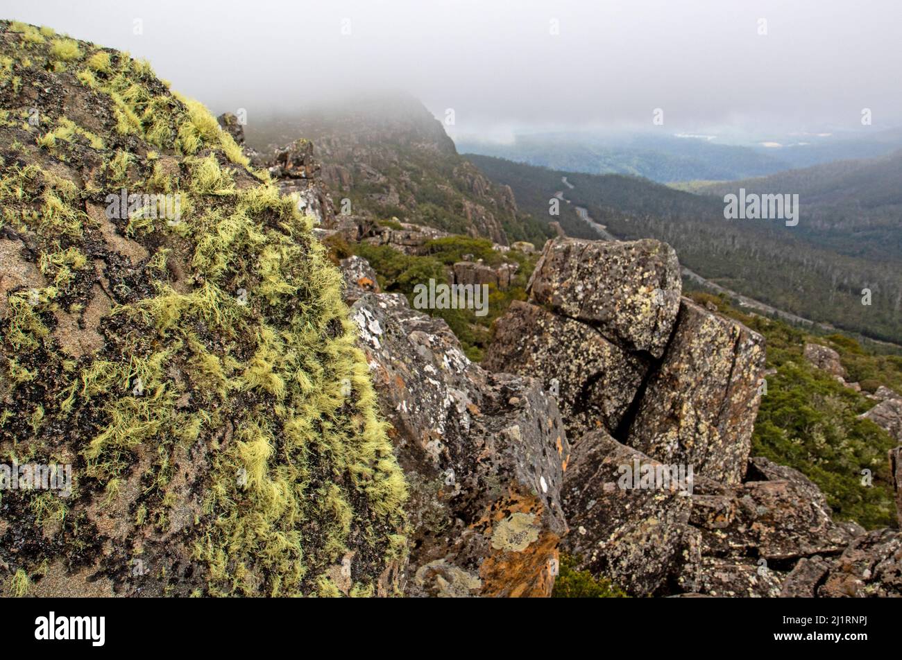 Lichen on a summit boulder on Projection Bluff Stock Photo - Alamy