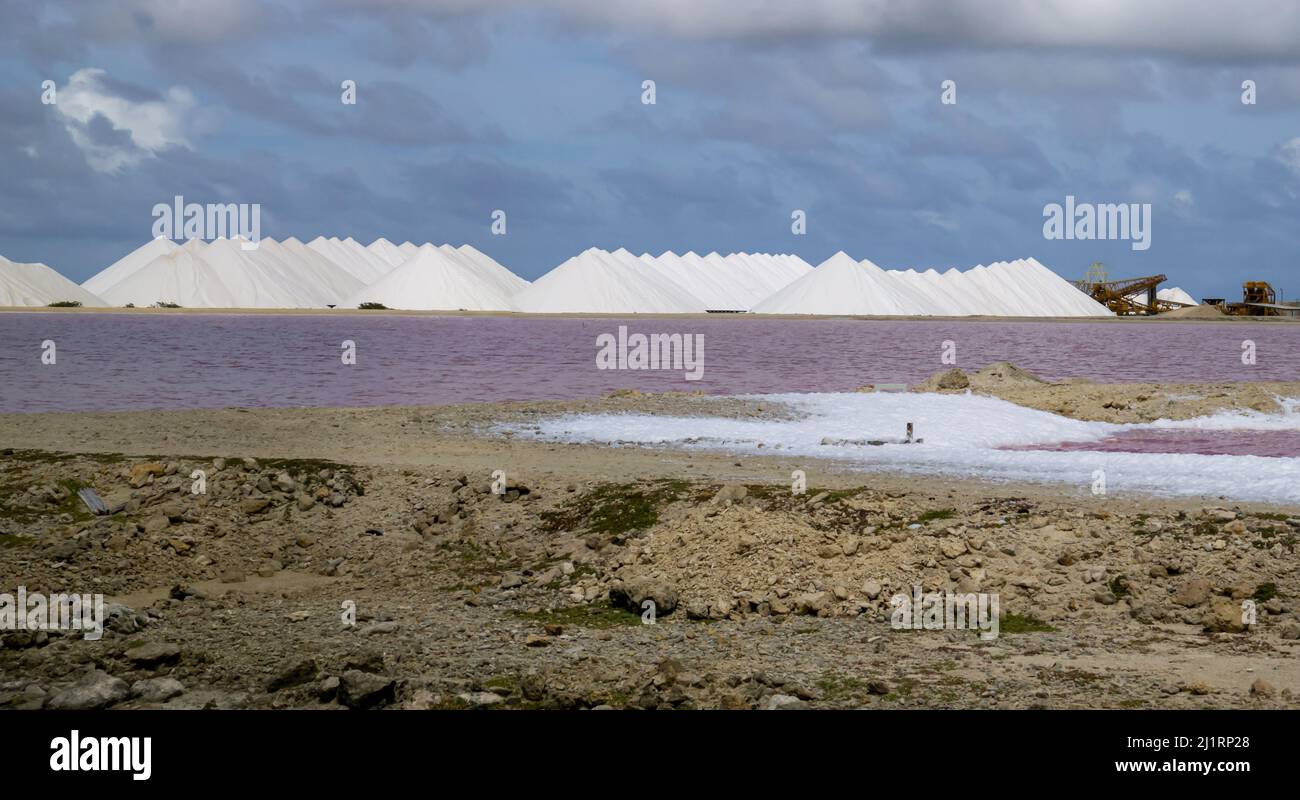 Sea salt harvesting on Bonaire island with pink water Stock Photo - Alamy