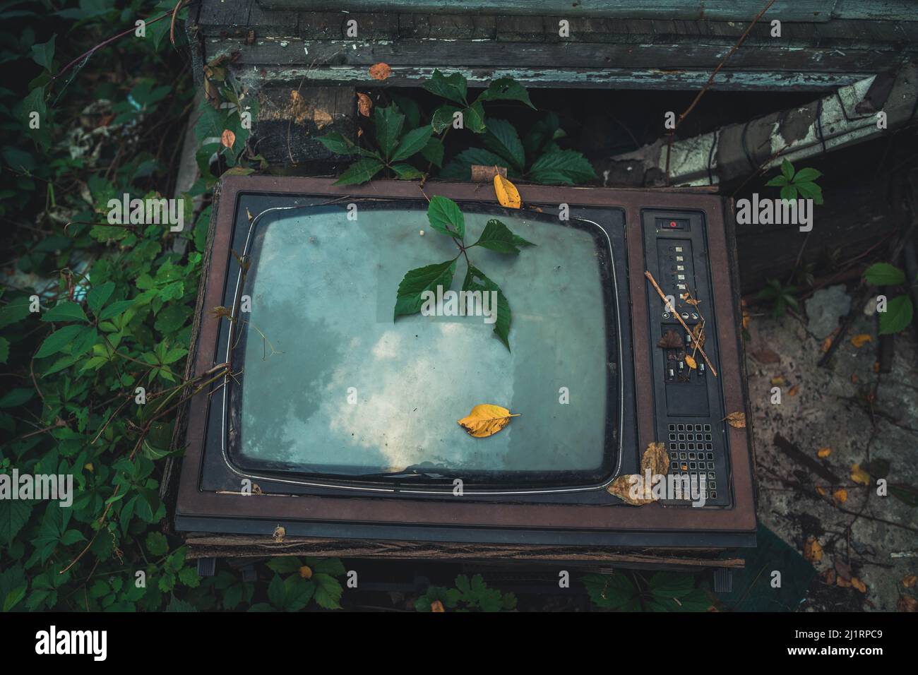 The soviet TV was overgrown with grass Stock Photo - Alamy