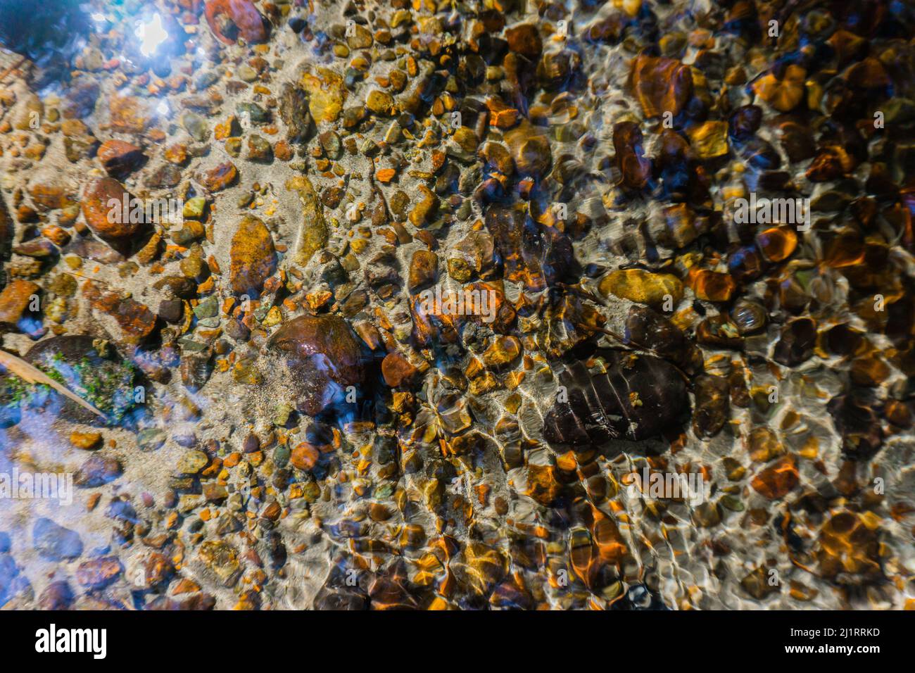 Sunlight in water texture hi-res stock photography and images - Alamy