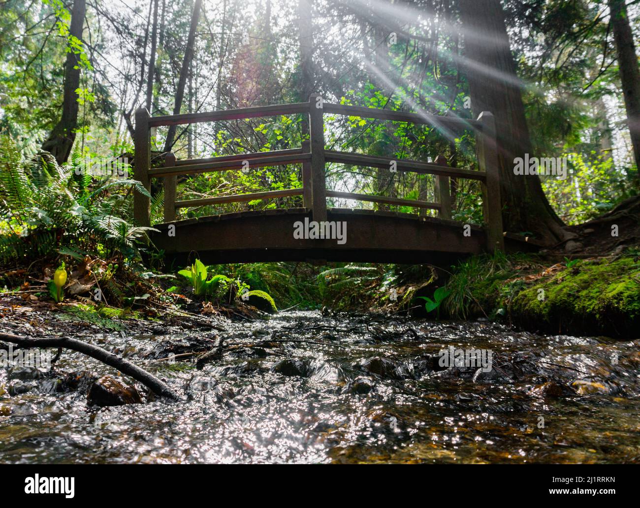 Wooden bridge over fast mountain hi-res stock photography and images ...