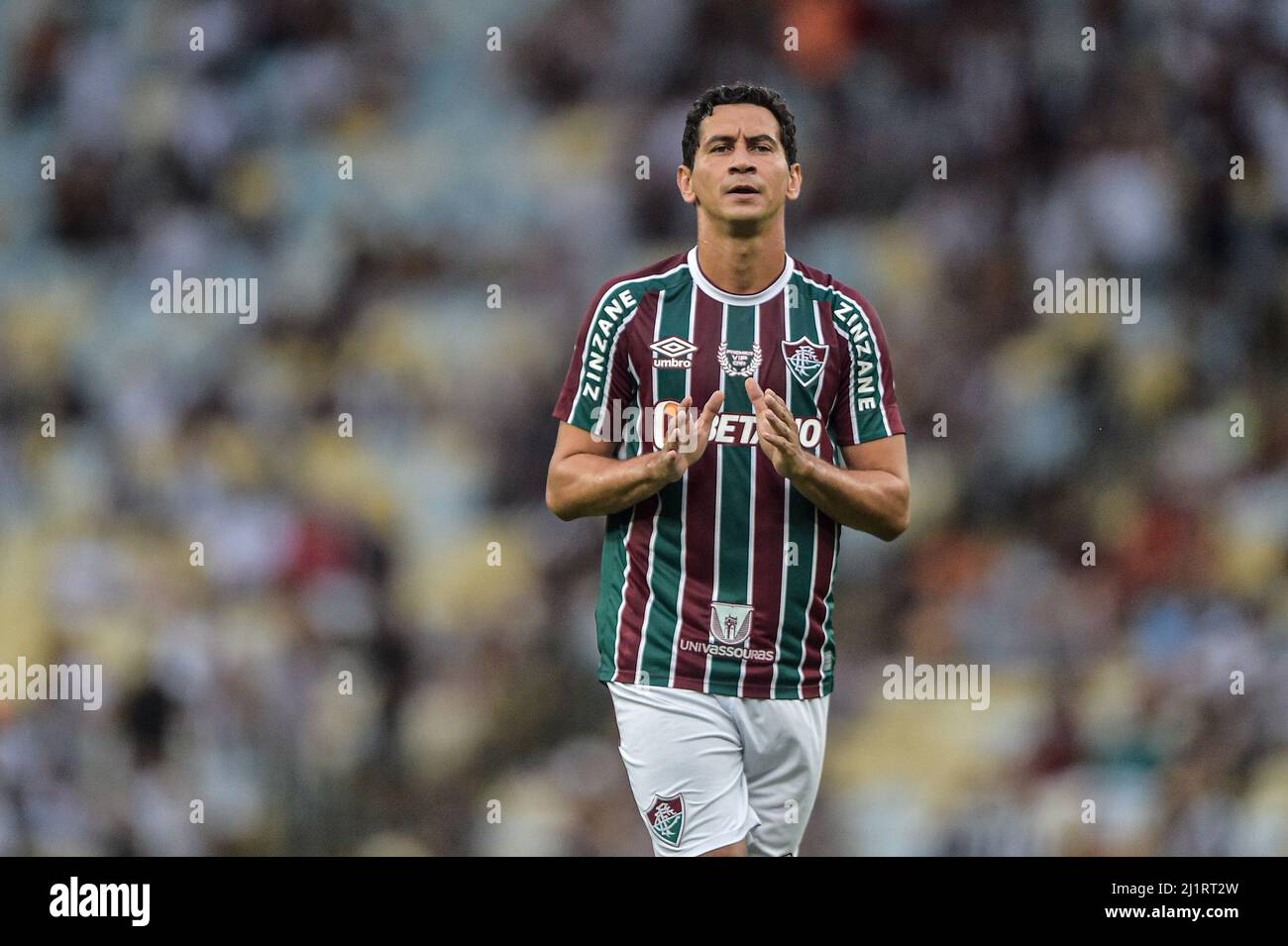 Ganso fluminense hi-res stock photography and images - Alamy