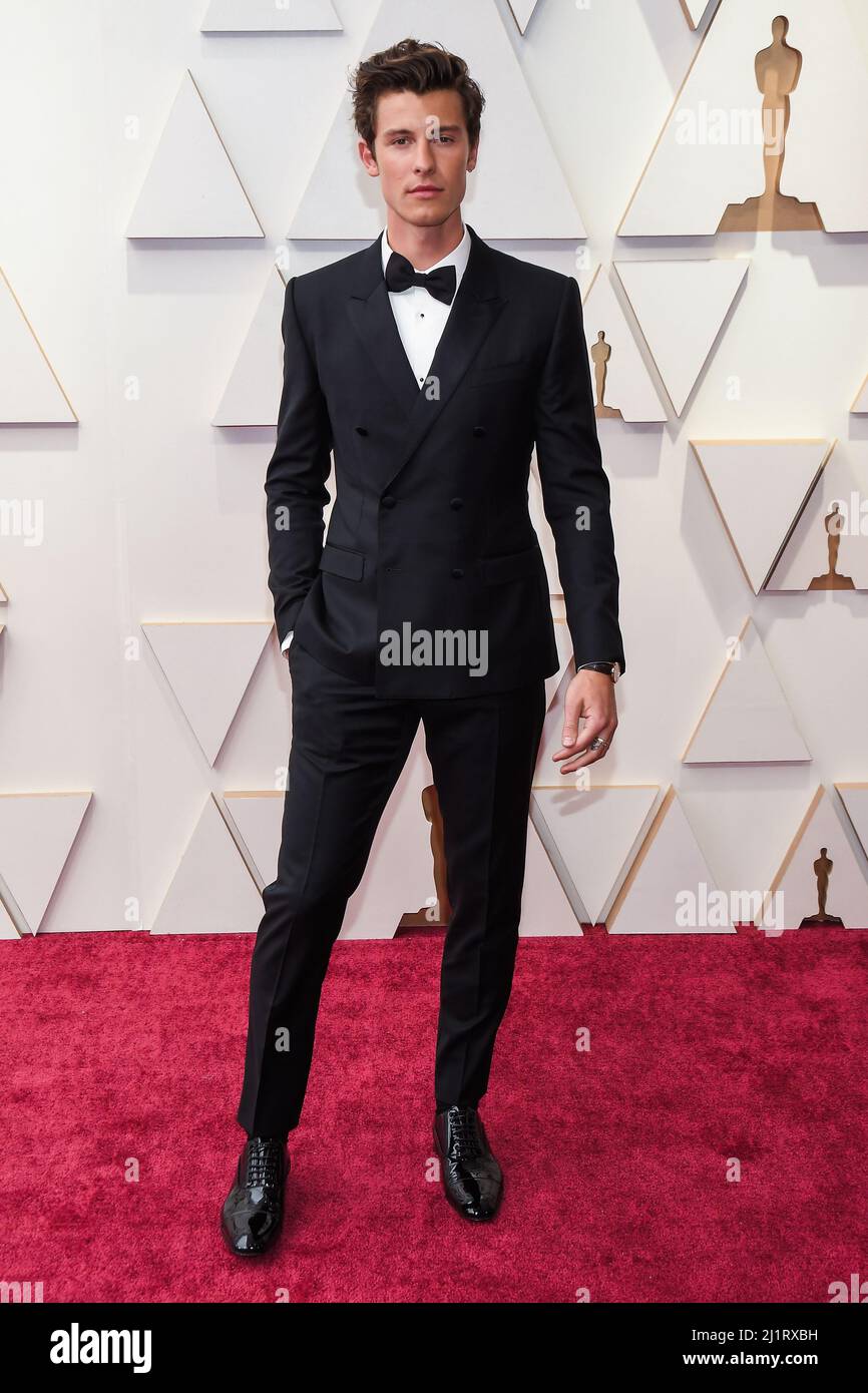 Shawn Mendes 2022