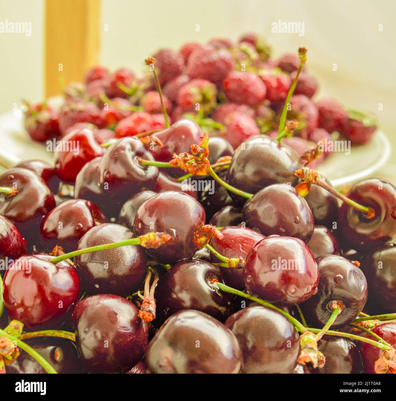 Lots of ripe juicy cherries in a white bowl, summer berry harvest, food ...