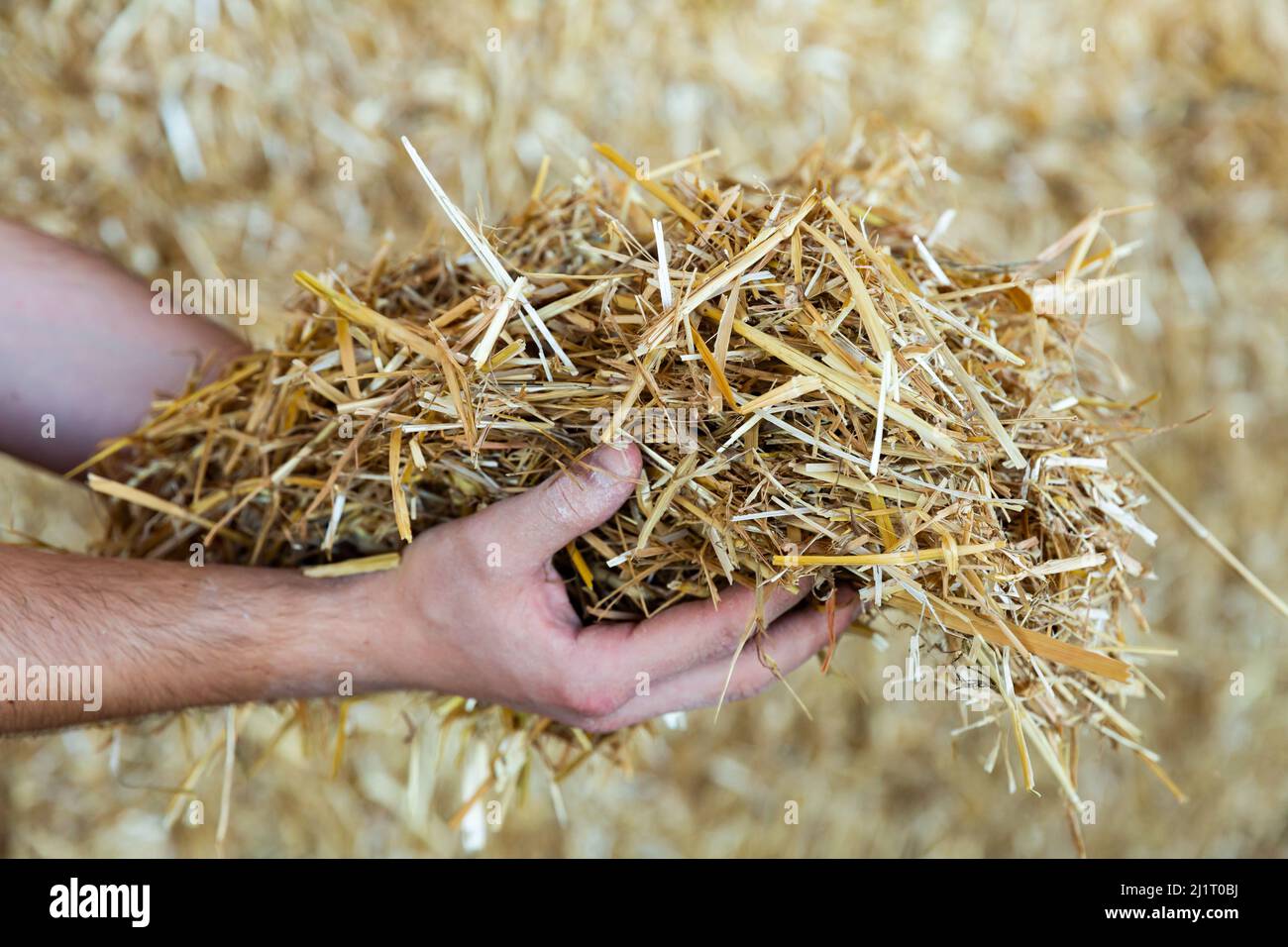 Hay bunch hay pile hi-res stock photography and images - Alamy