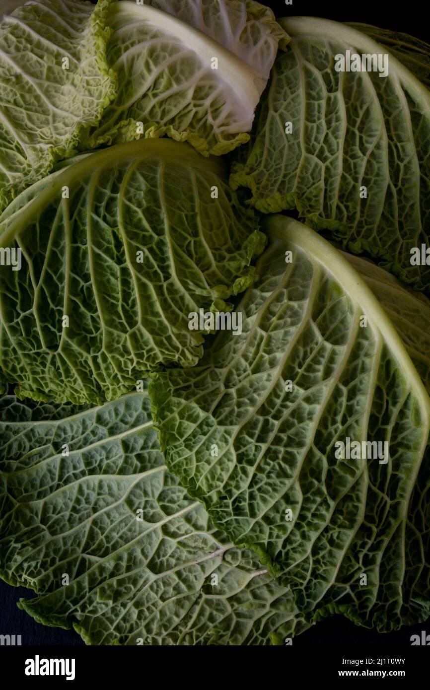 Green cabbage leaf close-up, veins and leaf structure - food background ...