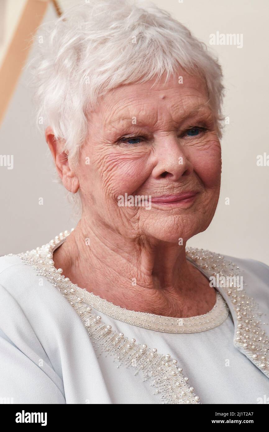 Judi Dench Hairstyle 2022