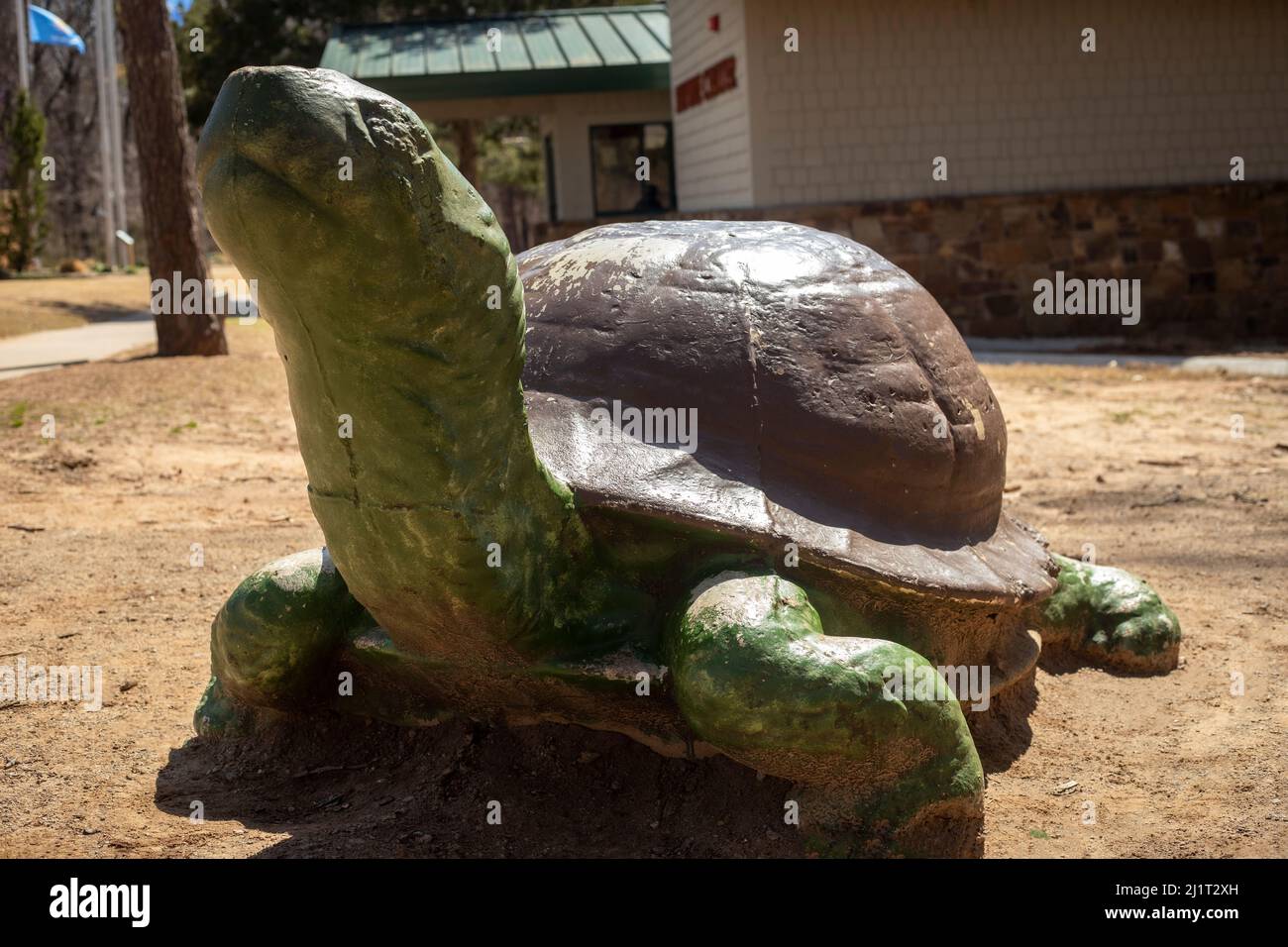 Frown turtle hi-res stock photography and images - Alamy