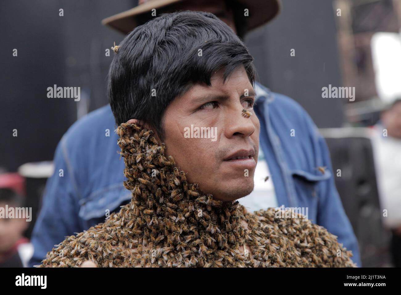 Bee tamer hi-res stock photography and images - Alamy
