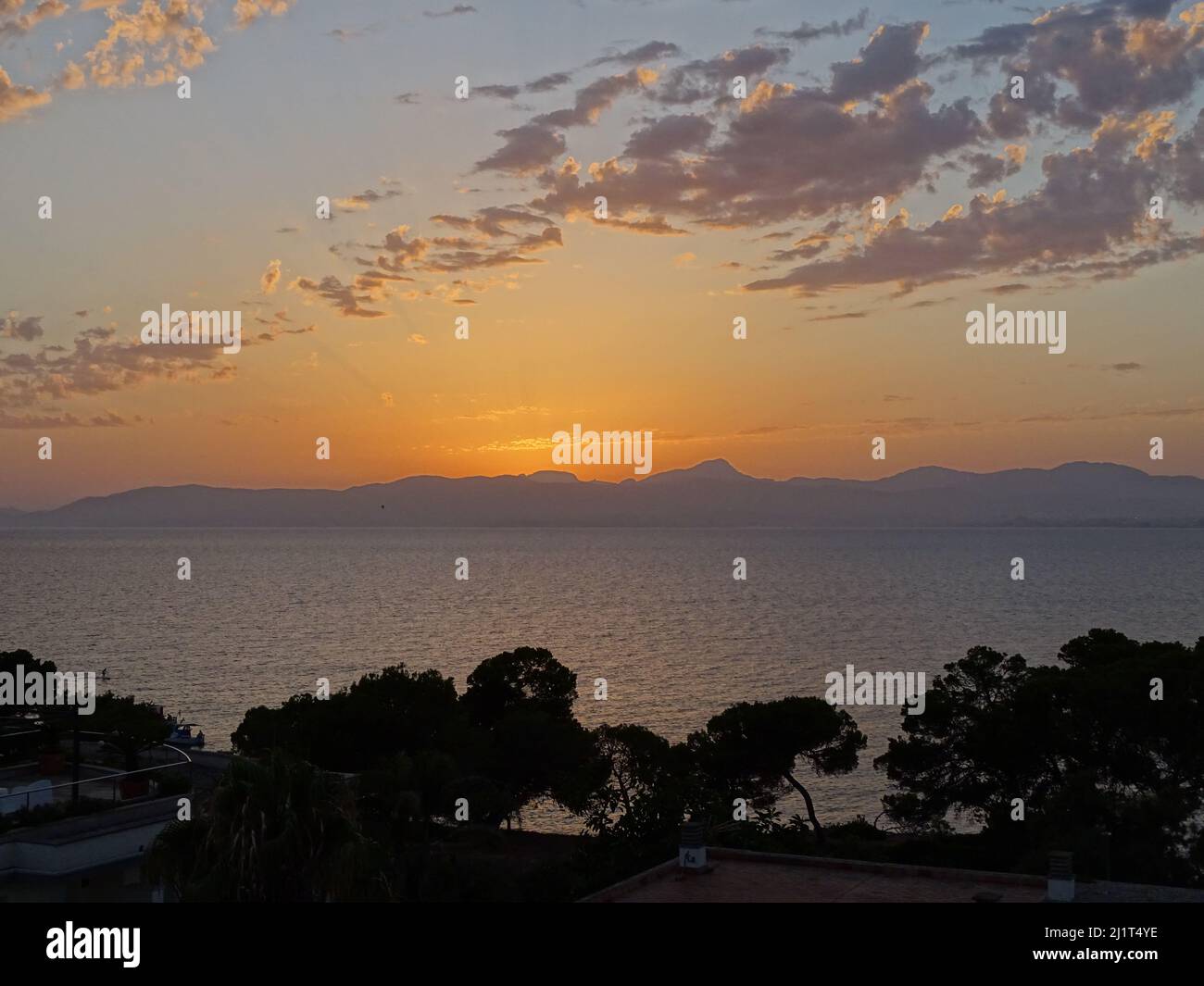 A silhouette view of the trees by the sea at S'Arenal beach with ...