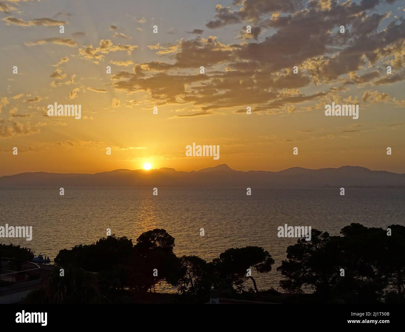 A silhouette view of the trees by the sea at S'Arenal beach with ...