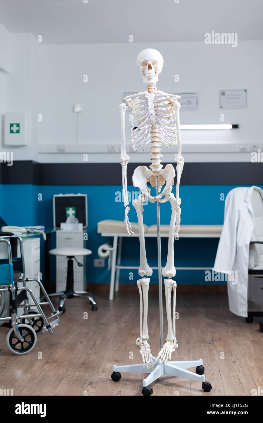 Empty doctor office having human body skeleton used as medical ...
