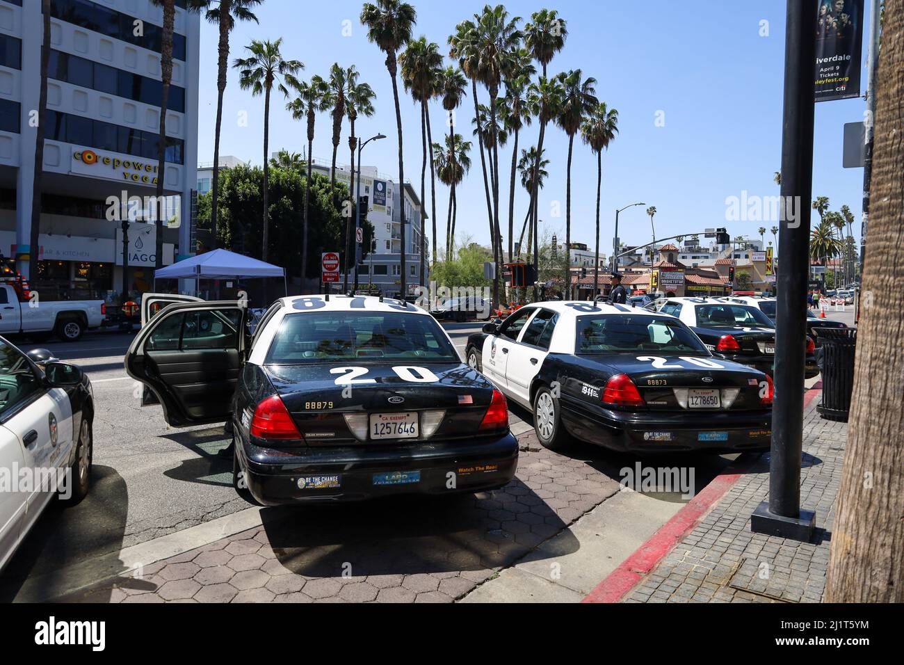 Hollywood, California, USA. 30th Mar, 2022. LAPD Police cars lined up ...