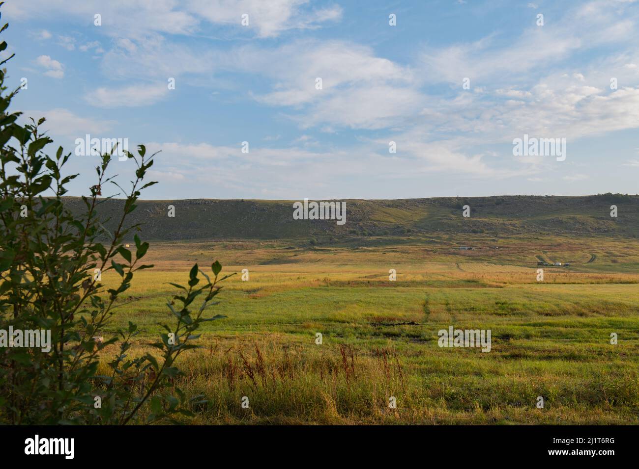 Colchis forest hi-res stock photography and images - Alamy
