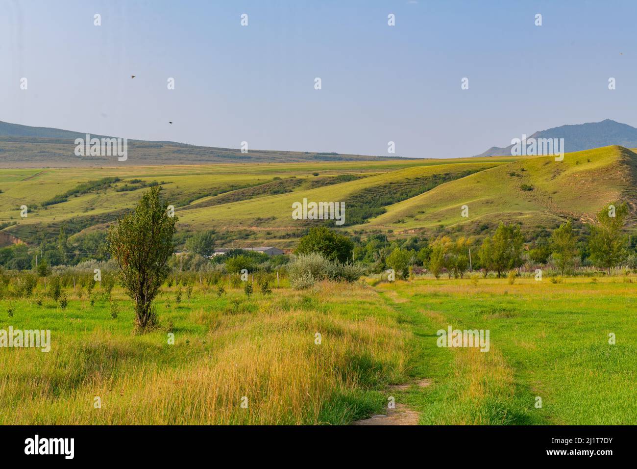 beautiful landscapes of nature in georgia in summer Stock Photo - Alamy