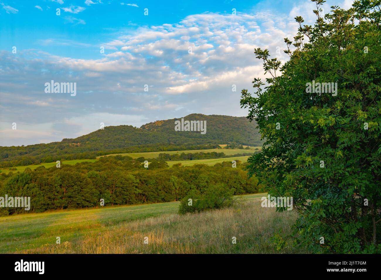 picturesque fields and mountains in georgia in summer Stock Photo - Alamy