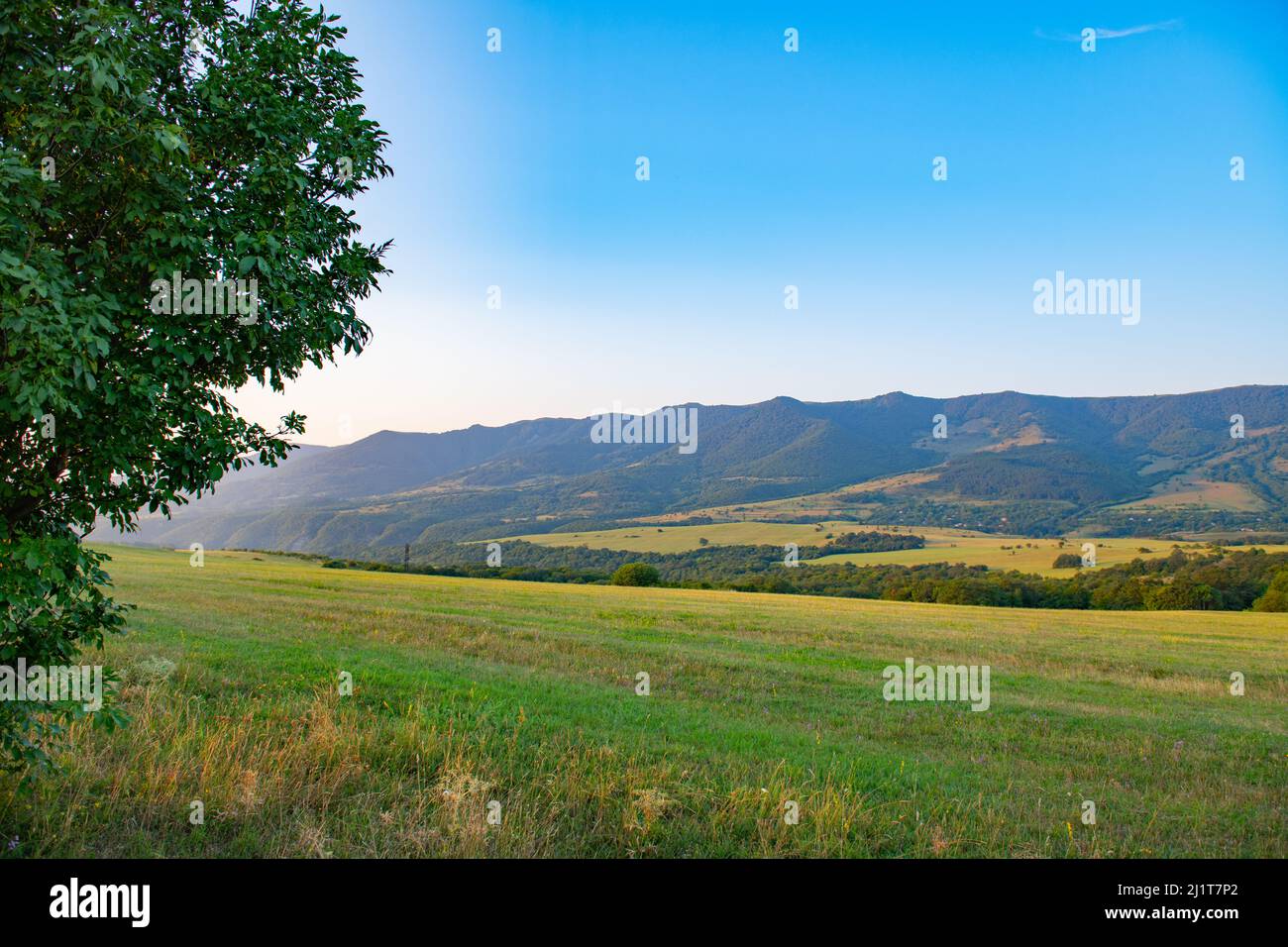 Colchis forest hi-res stock photography and images - Alamy