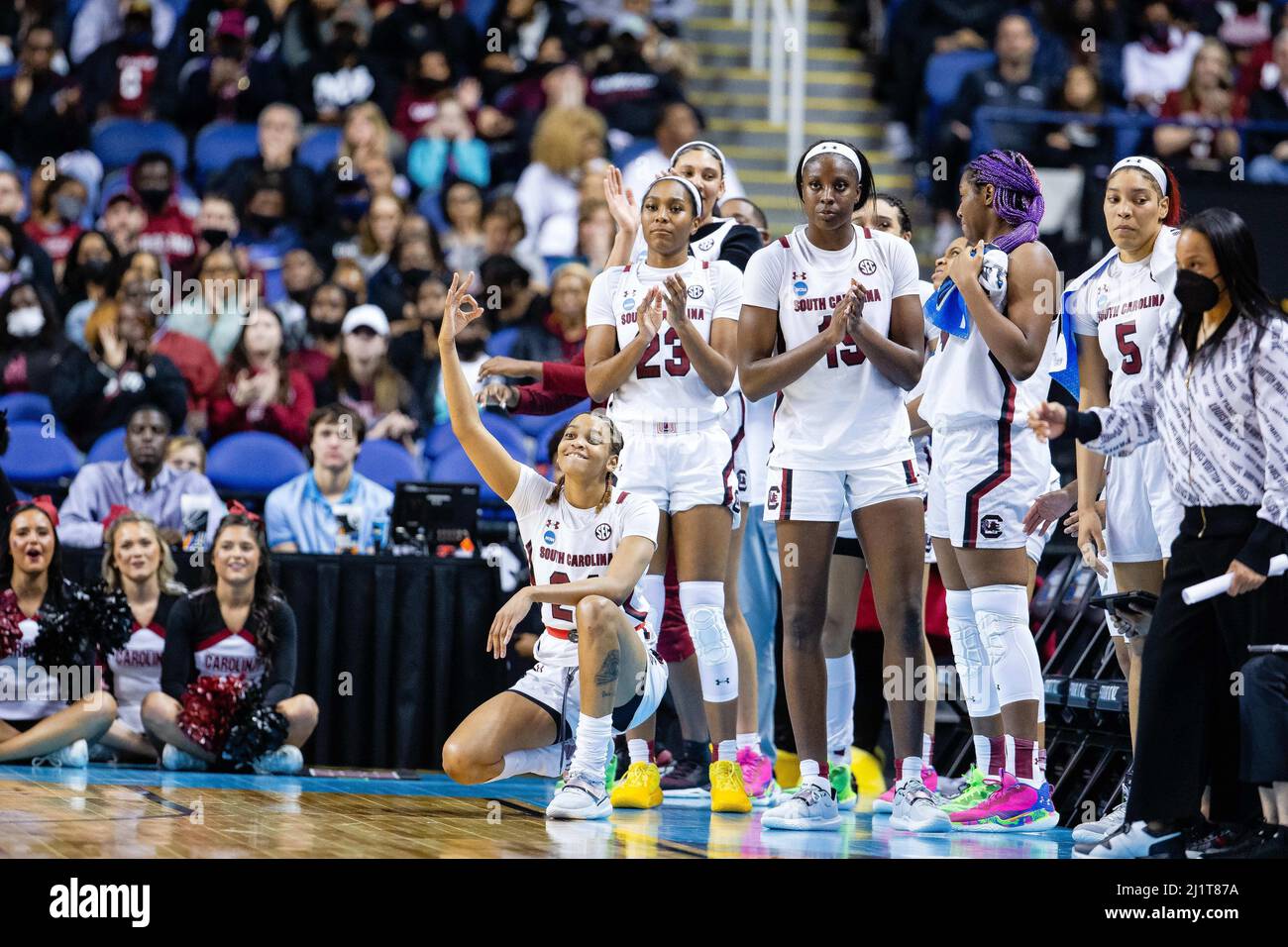 University of south carolina womens basketball hi-res stock photography ...