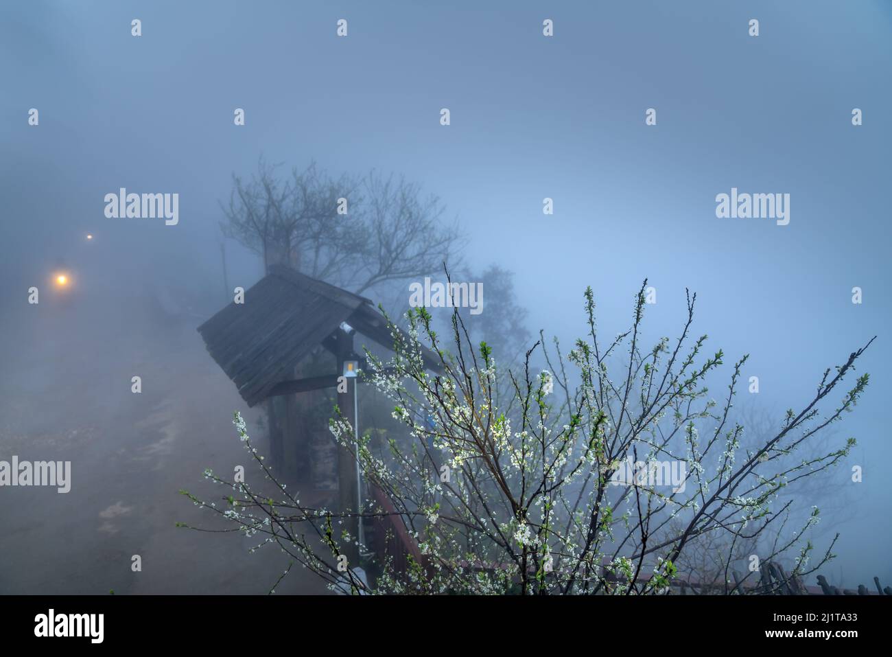 Spring, plum blossom and peach blossom season bloom in the northwest ...