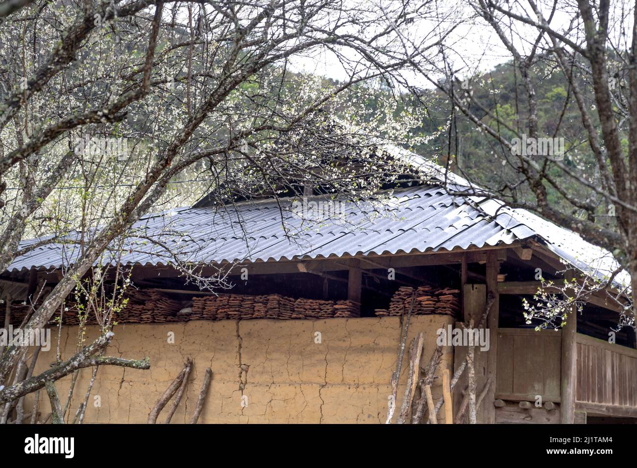 Ta Van Chu Commune, Bac Ha District, Lao Cai Province, Vietnam ...