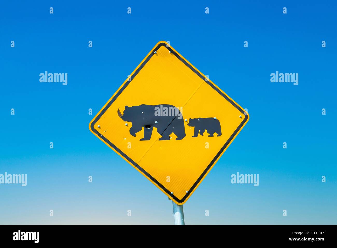 Yellow bear hi-res stock photography and images - Alamy