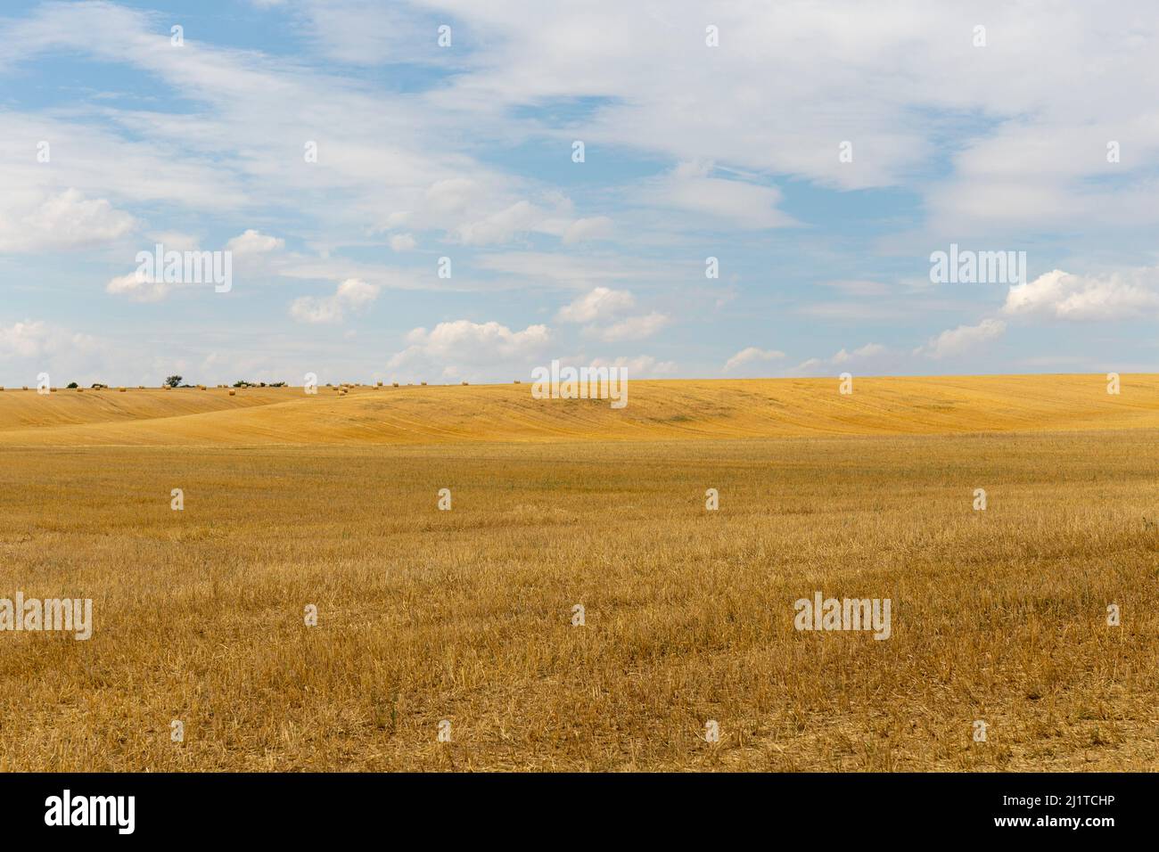 Bright orange colors hi-res stock photography and images - Alamy