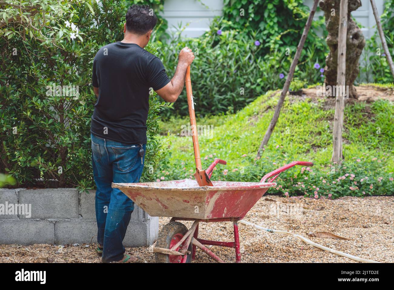Asian professional gardener use shovels to prepare soil on wheelbarrows ...
