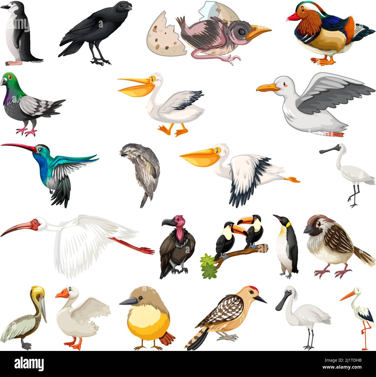 Different kinds of birds collection illustration Stock Vector Image ...