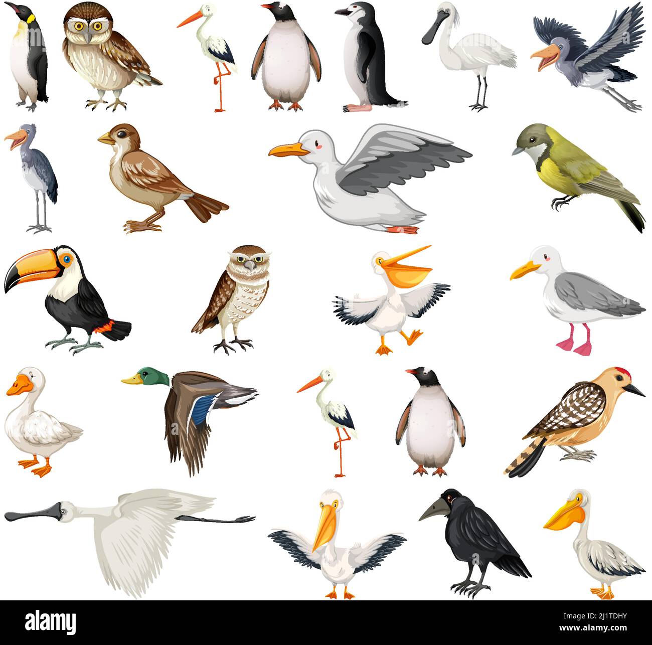 Different kinds of birds collection illustration Stock Vector Image ...