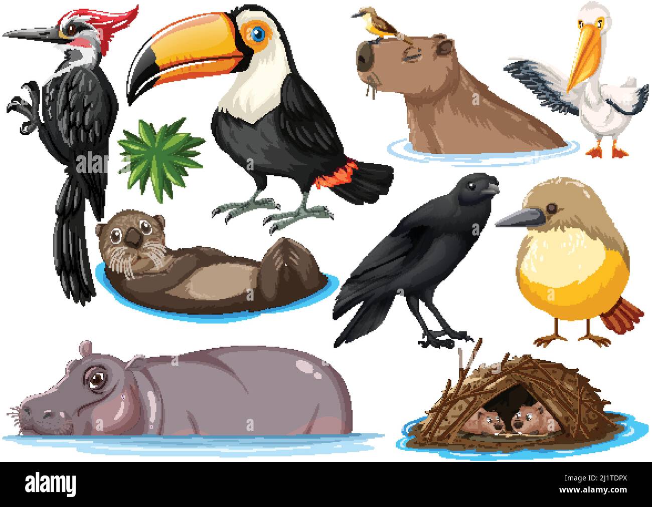 Different kinds of wild animals collection illustration Stock Vector ...