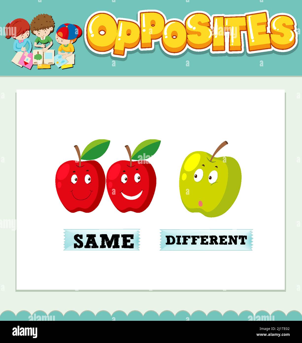 Opposite words for same and different illustration Stock Vector Image ...