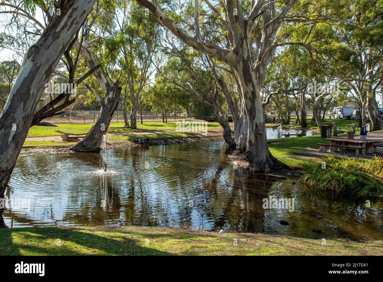 Tolmer park hi-res stock photography and images - Alamy
