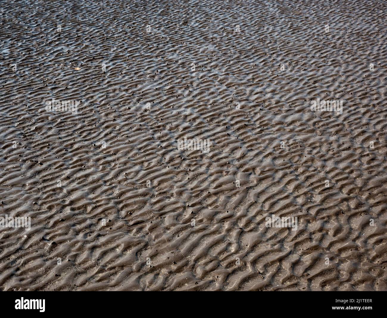 Wet Beach Sand Texture Wet Beach Sand Water Waves Texture Stock Photo