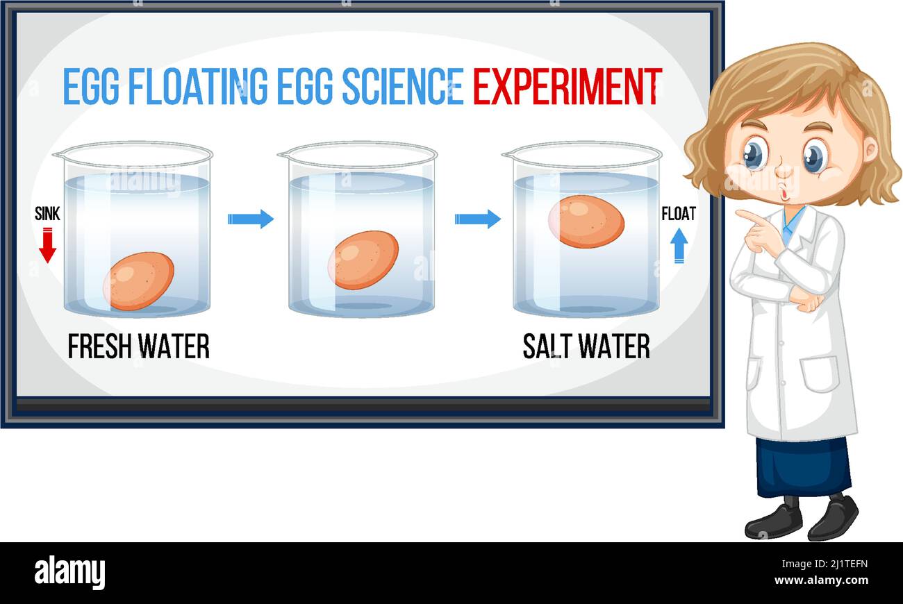 Scientist girl explaining egg floating science experiment illustration ...