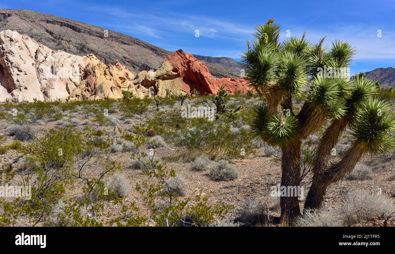 Nevada landscape hi-res stock photography and images - Alamy