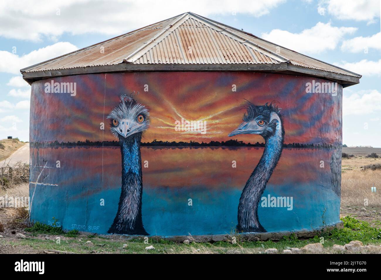 Emus Water Tank Art, Lake Fowler, South Australia, Australia Stock ...