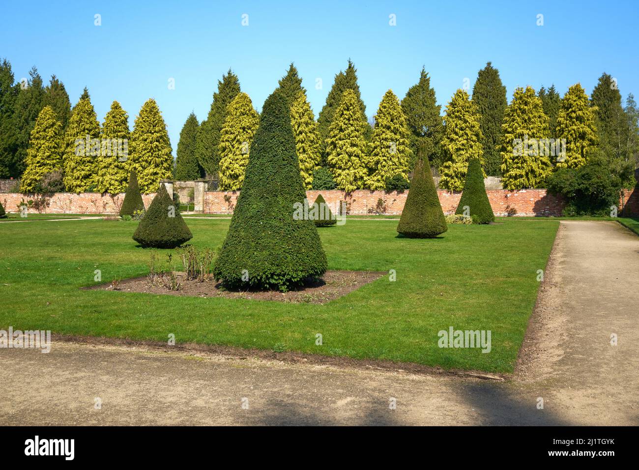 Conical shaped bushes in a topiary garden Stock Photo - Alamy