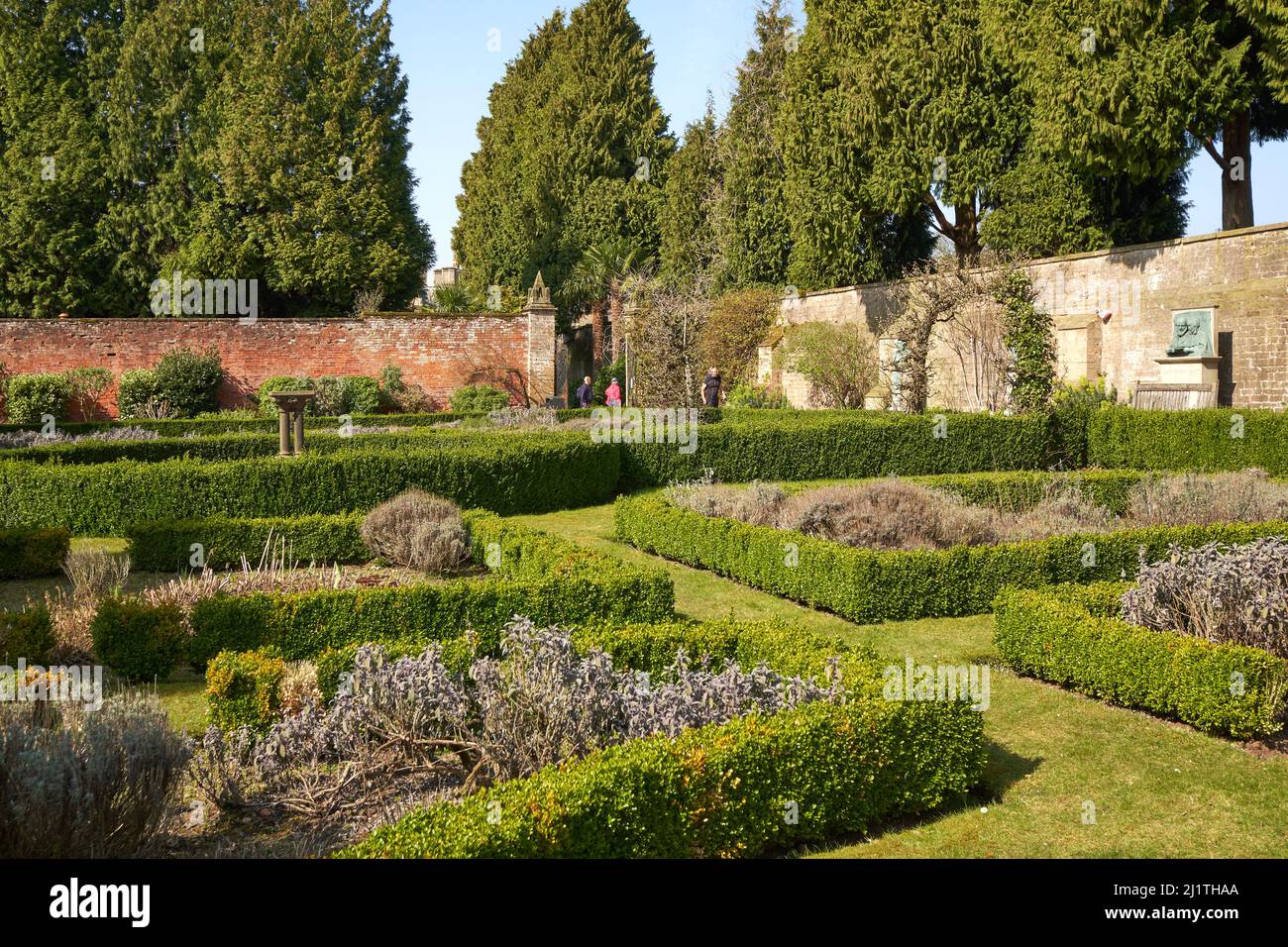 Box hedges in a formal garden Stock Photo - Alamy