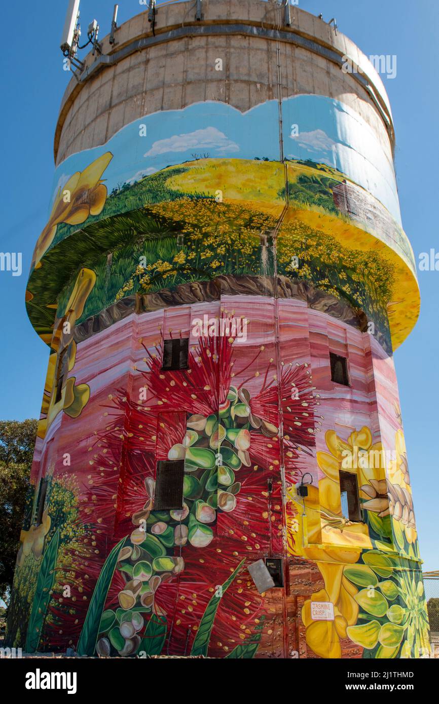 Rural Water Tower Art, Yorketown, South Australia, Australia Stock ...