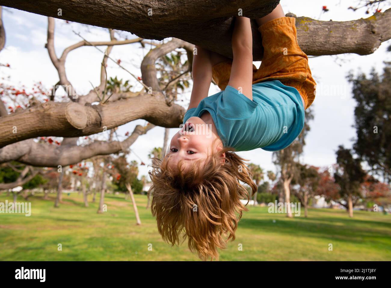 Cute blonde child boy hangs on a tree branch. Summer holidays, little ...